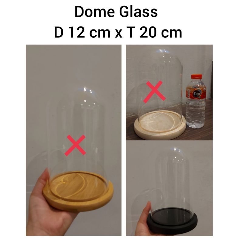 Jual Dome Glass / Glass Dome / Kubah Kaca / Flower Dome Oval | Shopee ...