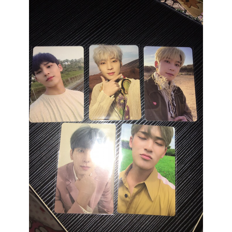 Jual PHOTOCARD SEVENTEEN WONWOO MINGYU ray path an ode fallin flower ...