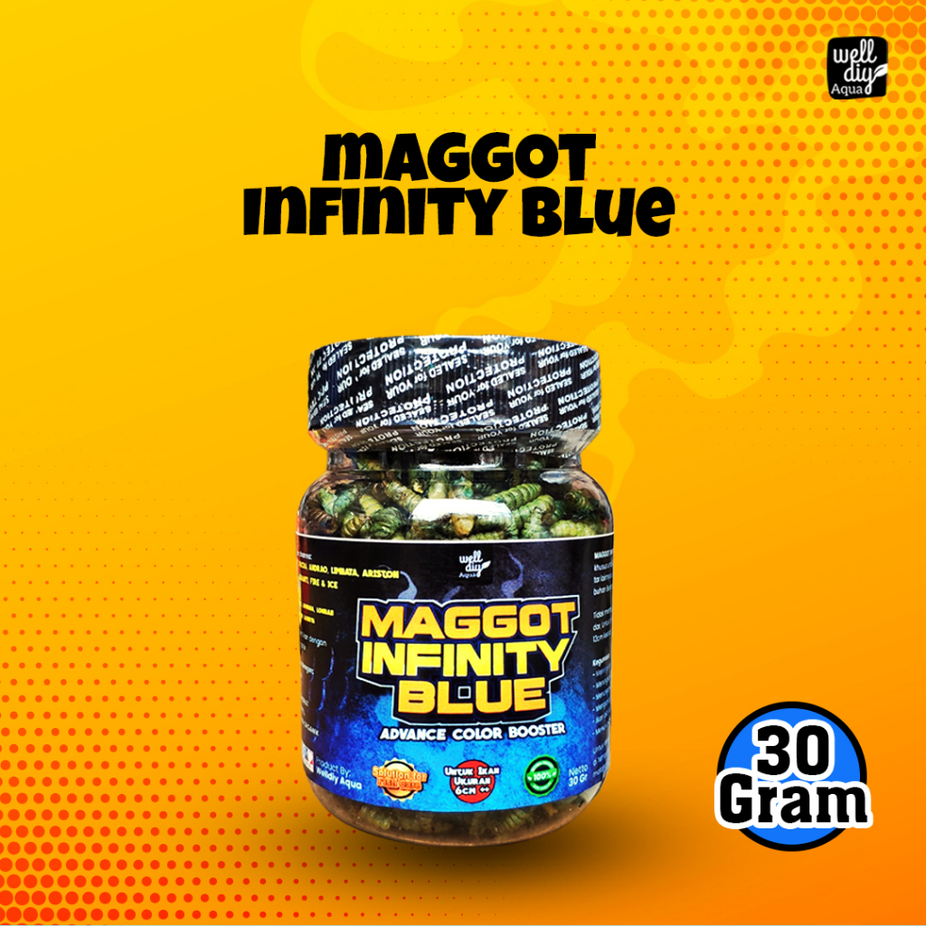 Jual Udang Kering Pakan Ikan Channa Chana Maggot Predator Reptil Red ...