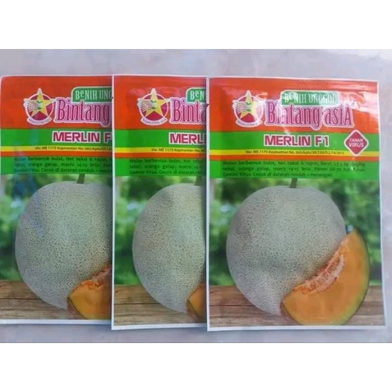Jual BENIH MELON MERLIN F1 ISI 20 GRAM | Shopee Indonesia