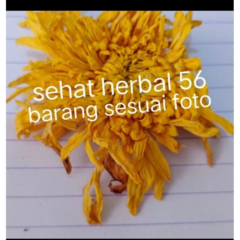 Jual Teh bunga / chrysanthemum Flower Tea / Teh Krisan / Teh Bunga ...