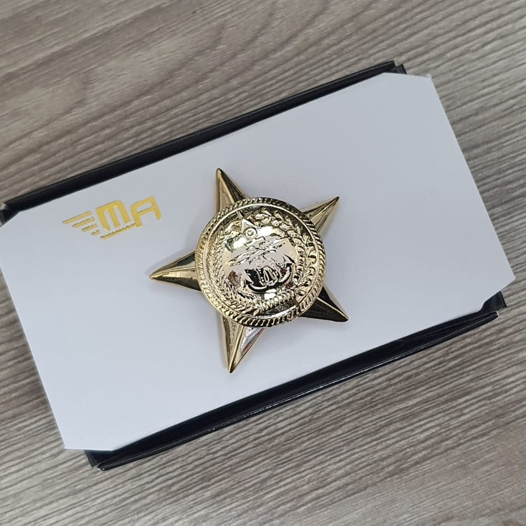 Jual BREVET WING INTEGRASI BRIVET PIN AKADEMI TNI | Shopee Indonesia