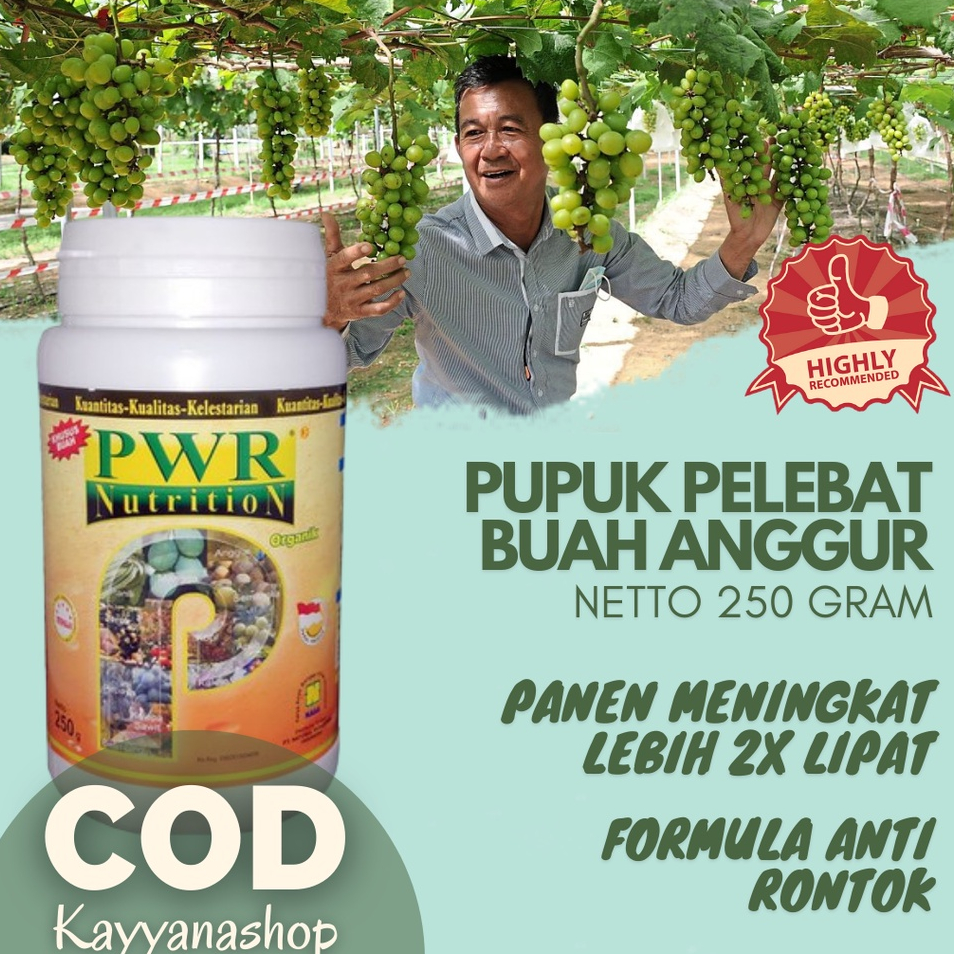 Jual Pupuk Anggur - Pupuk Pelebat Buah Anggur - Pupuk Kesuburan Buah ...