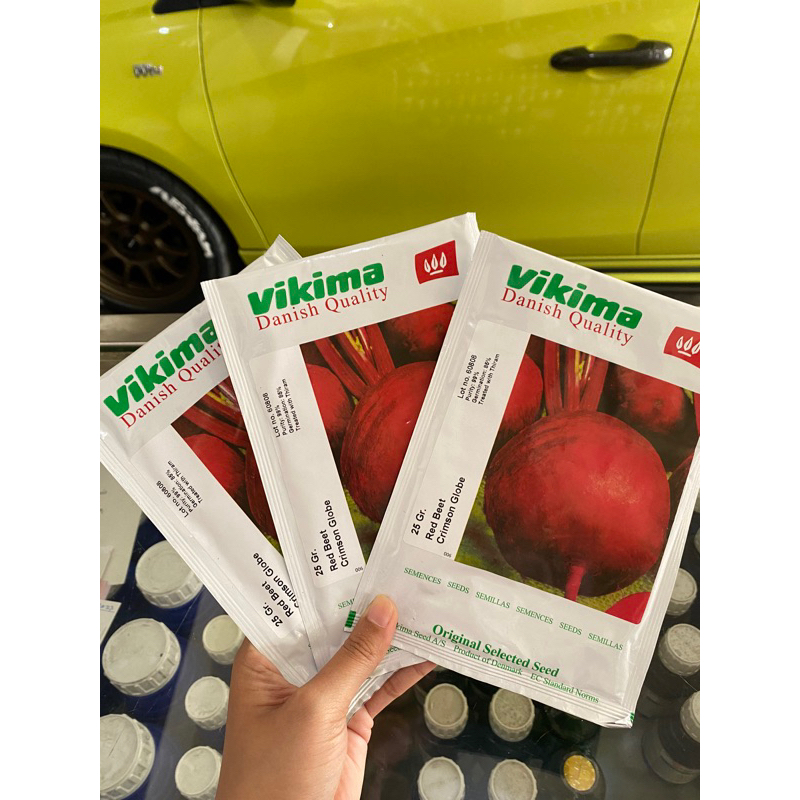 Jual Benih/Bibit Red Beet/Bit Merah Vikima 25gr | Shopee Indonesia