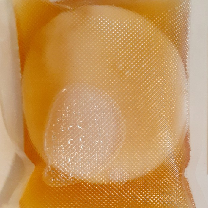 Jual Jamur Kombucha / Bibit Scoby / Kombucha Tea (teh kombucha ...