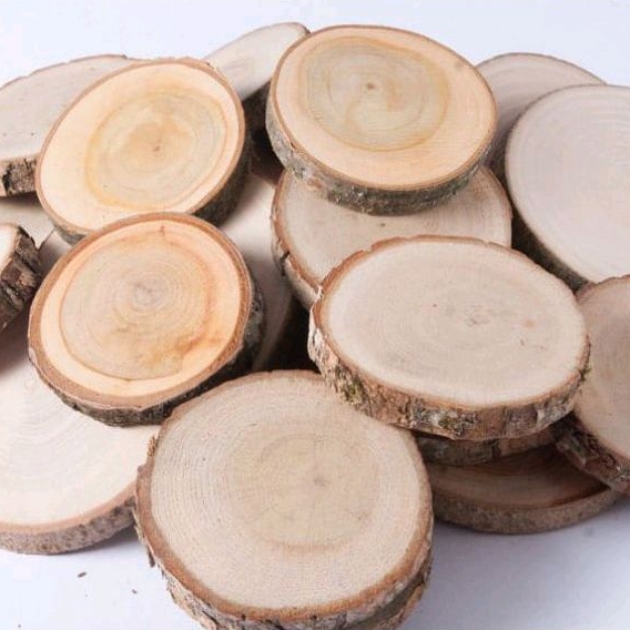 Jual wood slice/Potongan Kayu Log/Potongan kayu kecil 5-6cm | Shopee ...