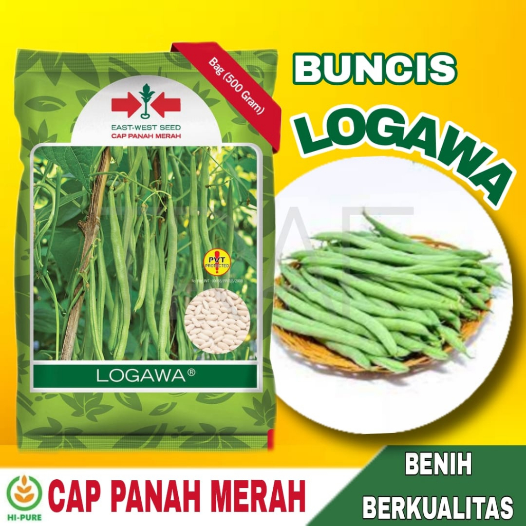 Jual Benih Buncis Logawa F1 Isi 500 Gram Cap Panah Merah | Shopee Indonesia