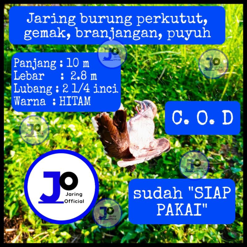 Jual jaring burung Cerucok jaring burung Trucuk jaring burung perkutut ...
