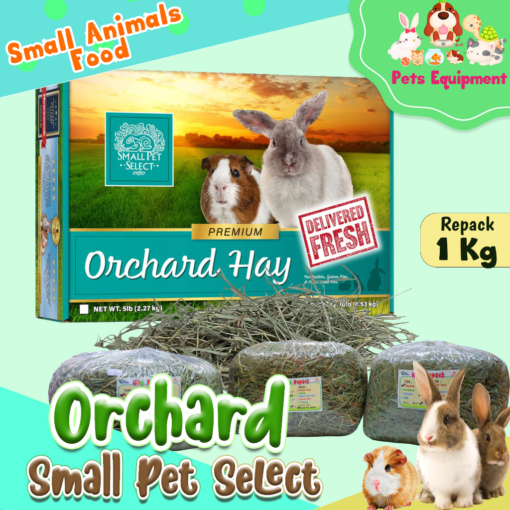 Jual ORCHARD HAY BY SMALL PET SELECT 1KG REPACK/RUMPUT HAY ORCHARD ...