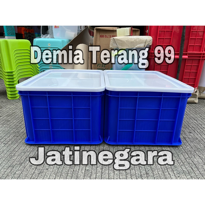 Jual Box Ac 3033 Rabbit + Tutup / Container Plastik Serbaguna | Shopee ...