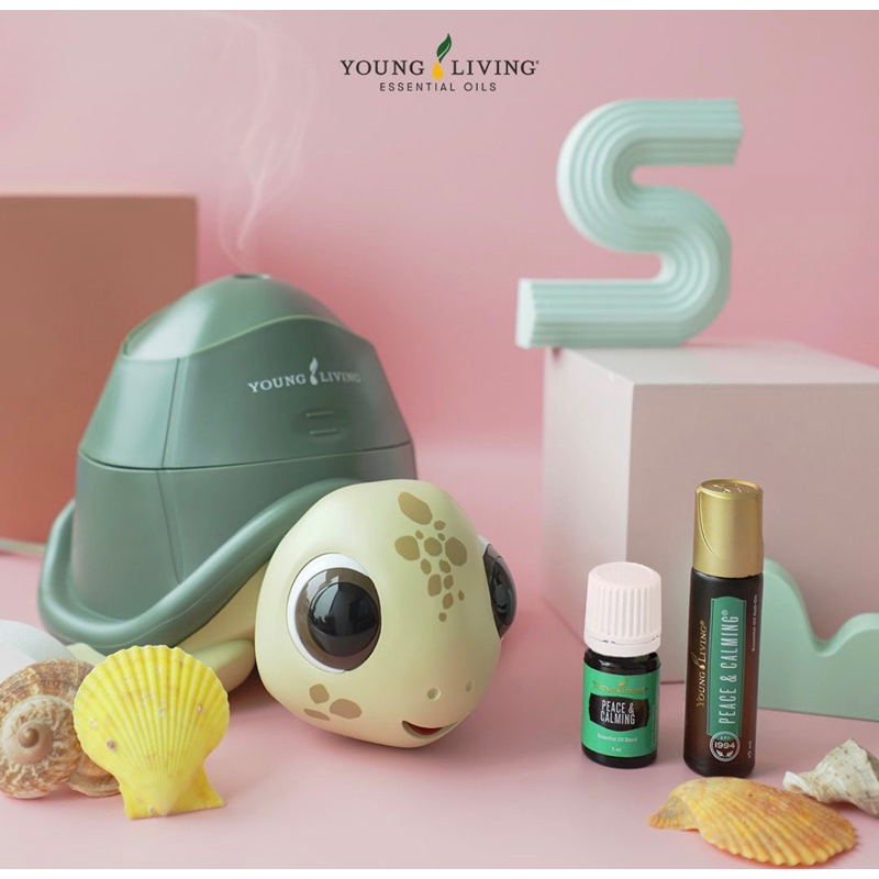 Jual Shelly The Turtle Diffuser Young Living | Shopee Indonesia