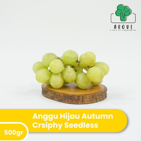 Jual Anggur Hijau Autumn Crisp Seedless [500g] - Buah ABOVE | Shopee ...