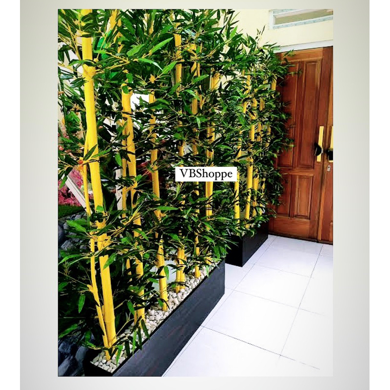 Jual partisi sekat bambu premium rimbun 1,2 meter pot mewah bonus batu ...