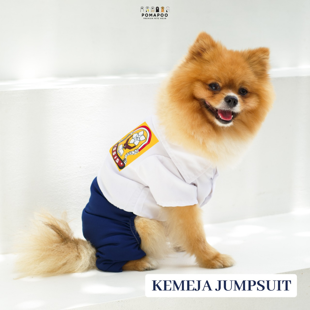Jual POMAPOO - Kostum Kucing dan Kostum Anjing Seragam SMP | Shopee ...