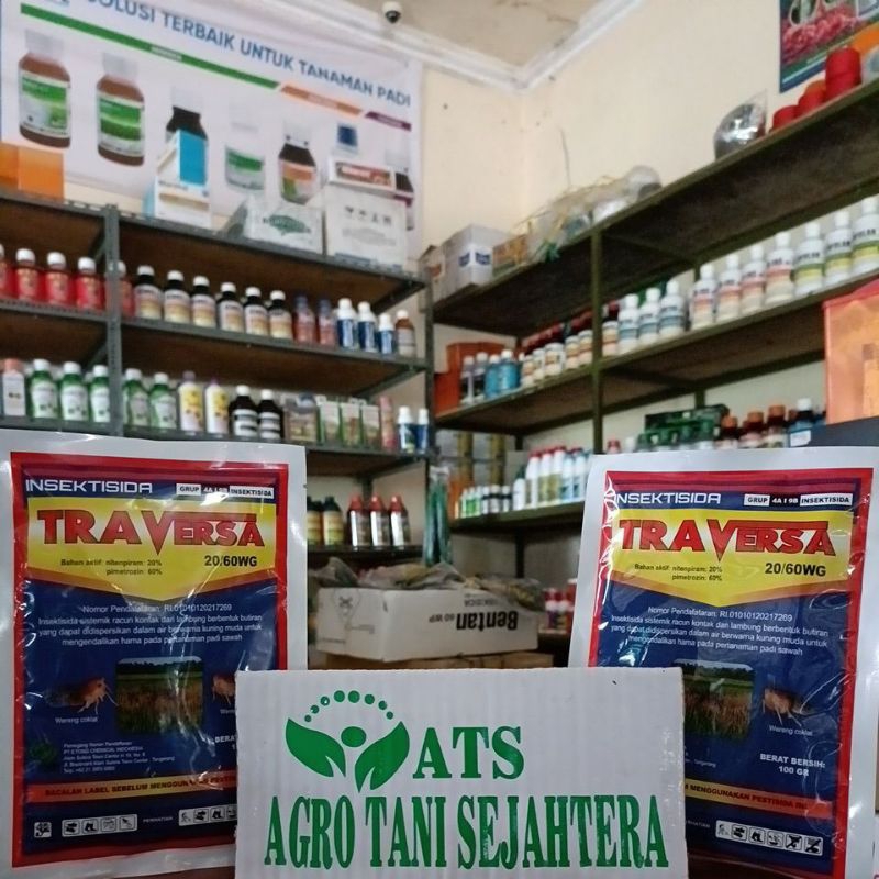 Jual insektisida traversa 20/60WG kemasan 100gram | Shopee Indonesia