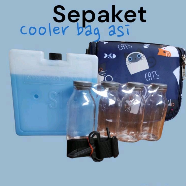 Jual Tas Cooler bag asi - SEPAKET ( tas, botol kaca asi, ice pack gel ...