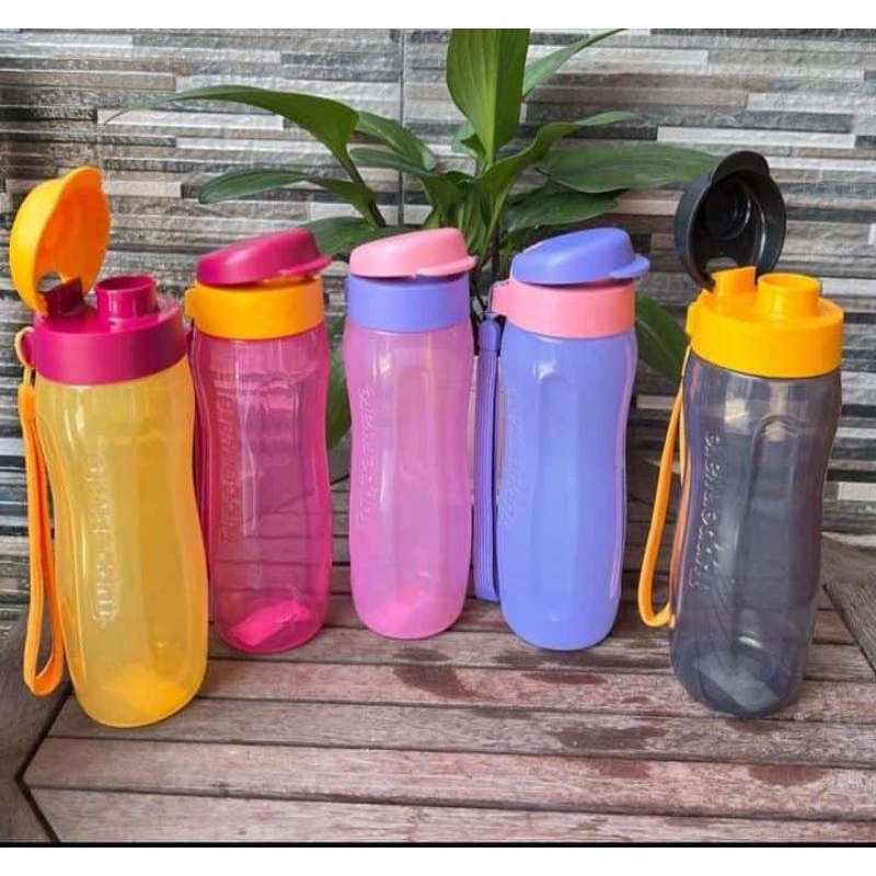 Jual Tupperware botol 500 ml eco fashion | Shopee Indonesia