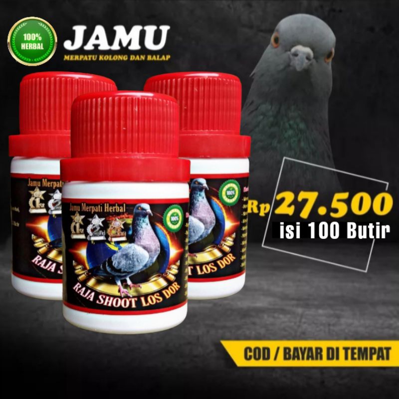 Jual JAMU MERPATI KOLONG LOS DOOR RAJA SHOOT isi 100 butur raja pukul ...