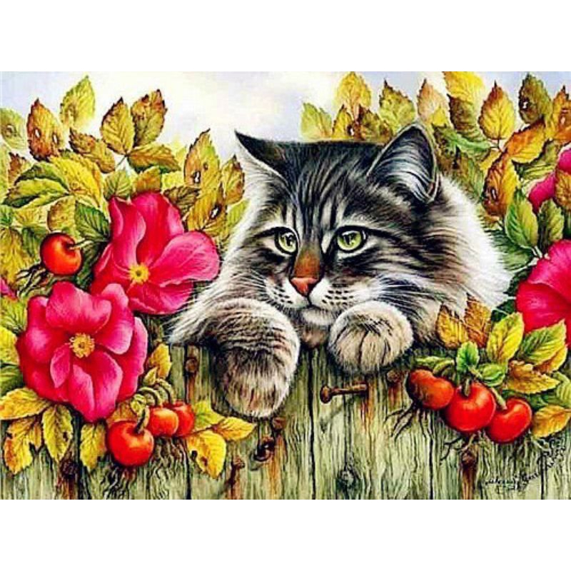 Jual Poster/lukisan cetak jumbo KUCING LUCU buat hiasan dinding dan ...