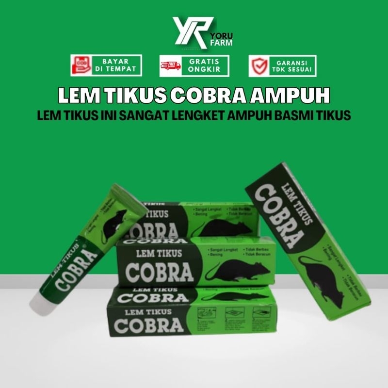 Jual LEM TIKUS COBRA - ORIGINAL YORU FARM | Shopee Indonesia