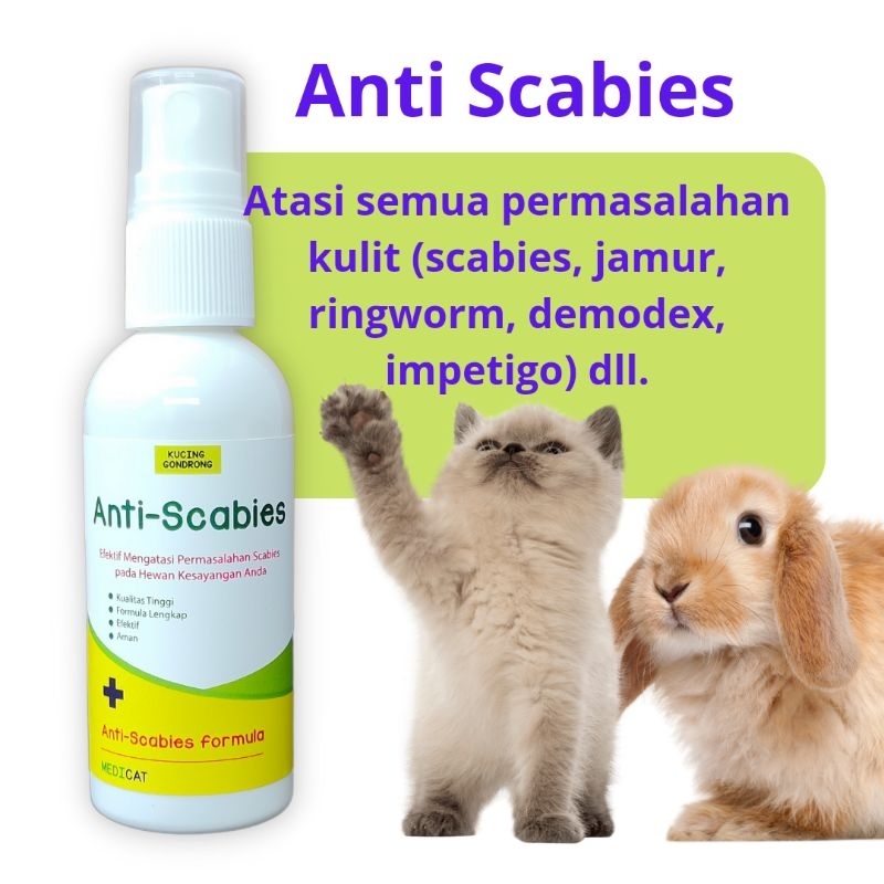 Jual OBAT JAMUR OBAT INFEKSI KULIT KUCING ANTI KUTU SCABIES DEMODEX ...