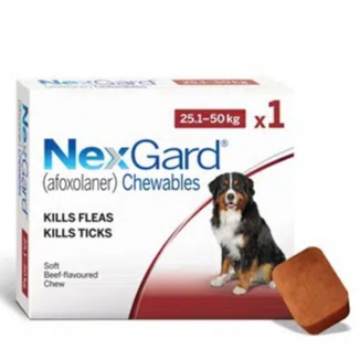 Jual NEXGARD 25-50Kg XL Dogs Obat Kutu Anjing Tablet - Chewable Tablets | Shopee Indonesia