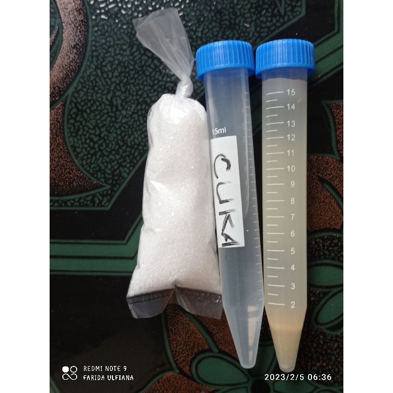 Jual ACETOBACTER XYLINUM +ZA -+30gr / STARTER NATA DE COCO SEKALI PAKAI ...