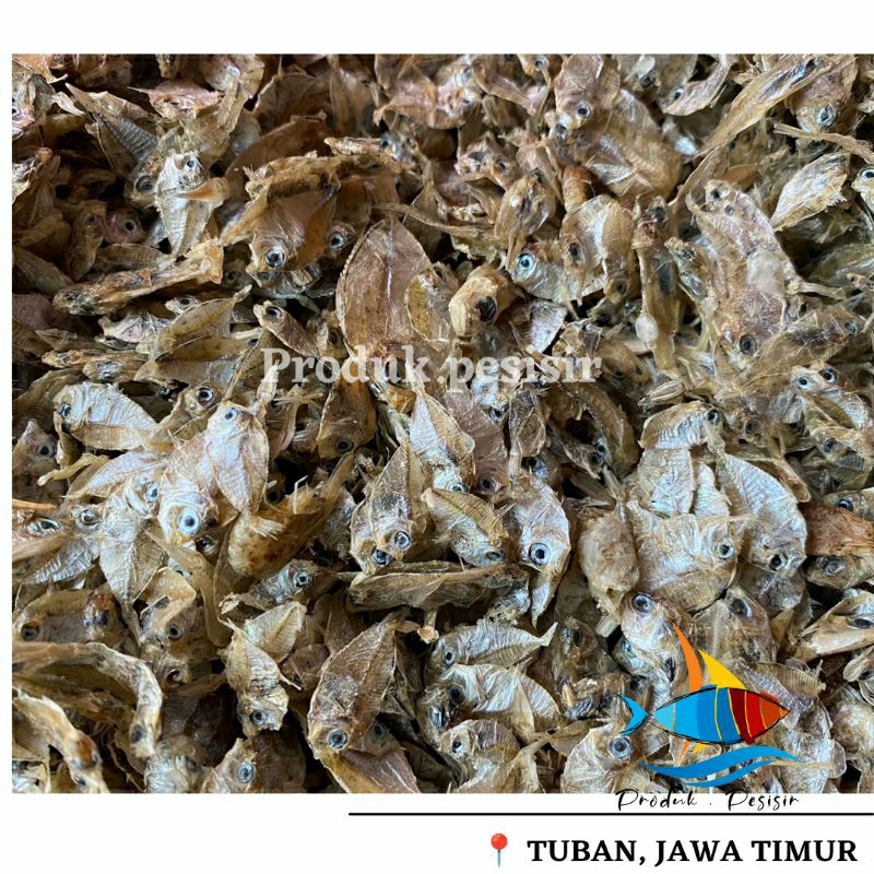 Jual Ikan Pirik/ Dodog Kecil 100 gram | Shopee Indonesia