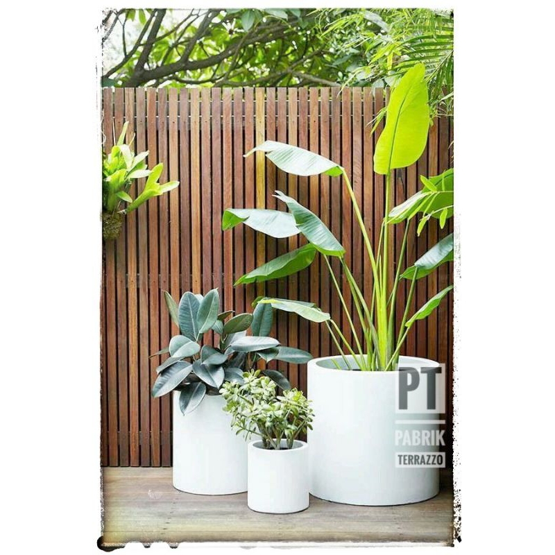 Jual pot tanaman minimalis silinder | Shopee Indonesia