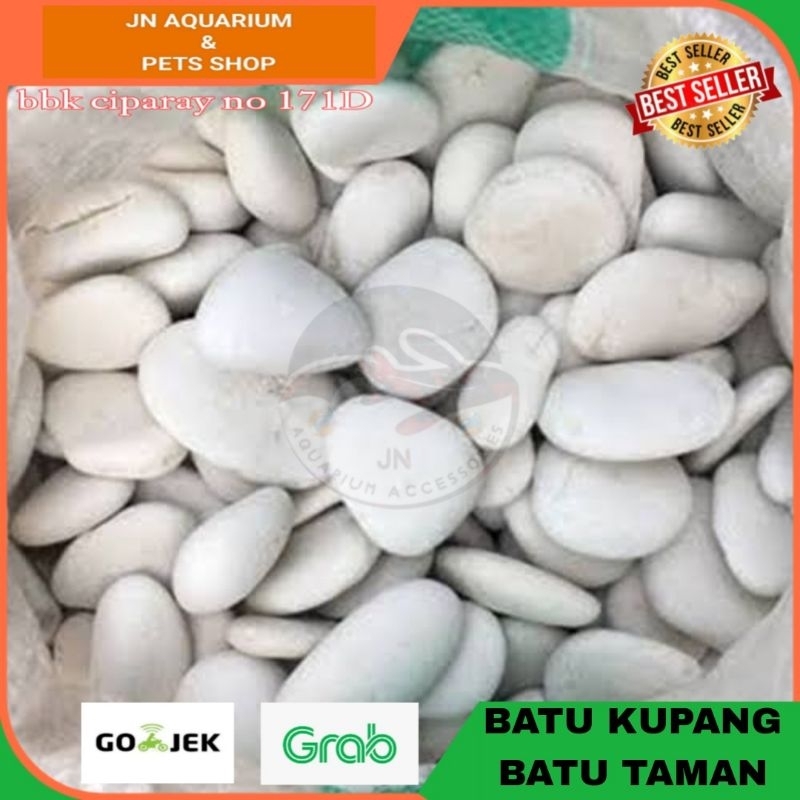 Jual BATU KUPANG / BATU CORAL / BATU TANAMAN / BATU AQUARIUM | Shopee ...