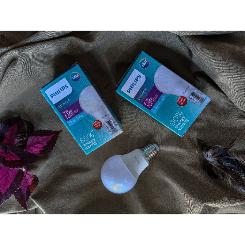 Jual LAMPU BULB PHILIPS 5W, 7W PHILIP BIRU RUMAH PHILIPS | Shopee Indonesia