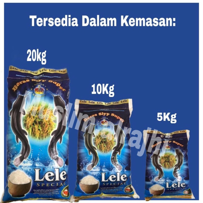 Jual Lele spesial Premium 100% Asli 5kg, 10kg, dan 20kg | Shopee Indonesia