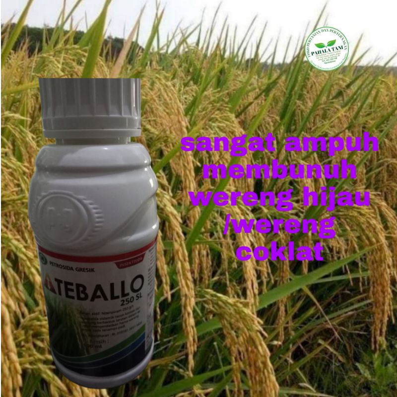 Jual TEBALLO 250SL/hama wereng/wereng coklat/wereng hijau/kutu daun ...
