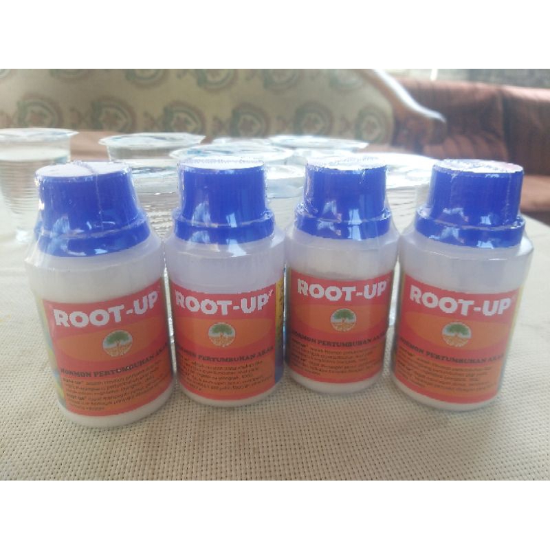 Jual root up,hormon perangsang akar,perangsang akar tanaman | Shopee ...