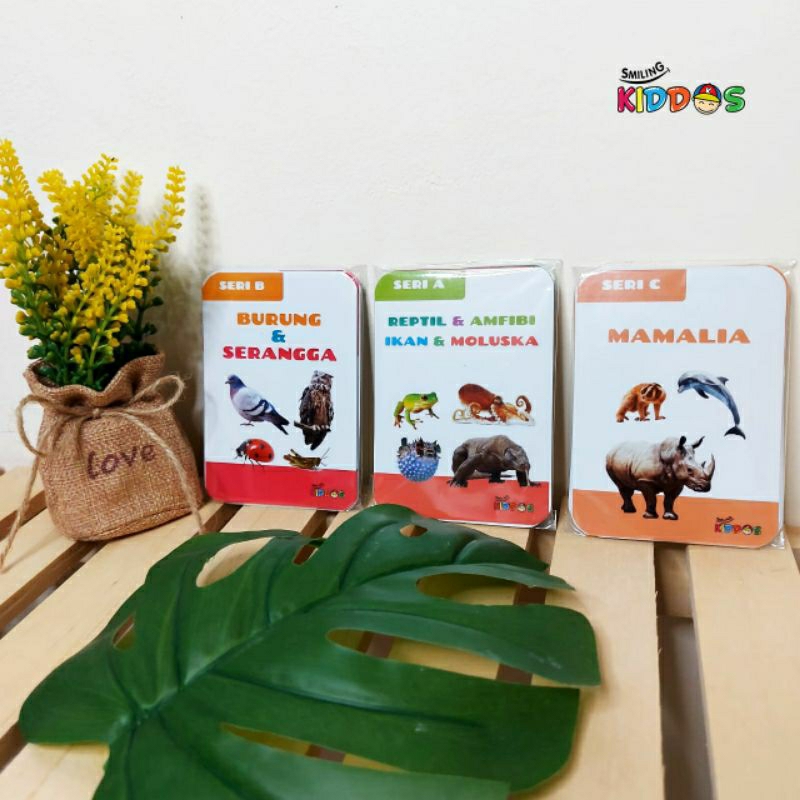Jual FLASHCARD SERI BINATANG Smiling Kiddos | Shopee Indonesia
