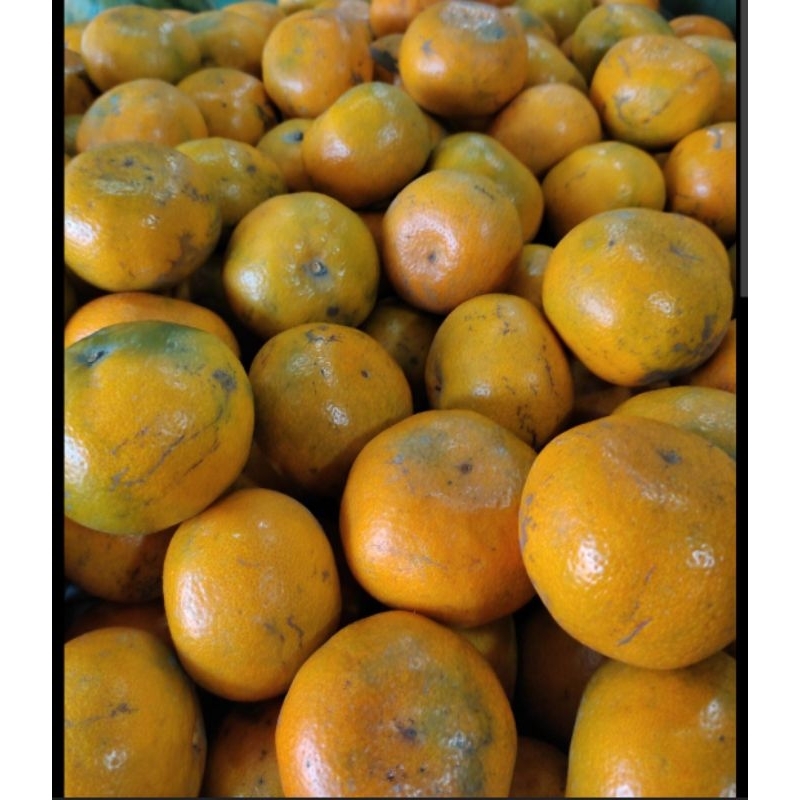 Jual Jeruk Medan Brastagi Super | Shopee Indonesia