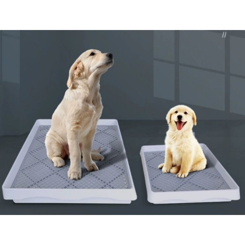 Jual Dog potty tray Besar( L)/Dog toilet/alas pipis anjing/pet toilet ...