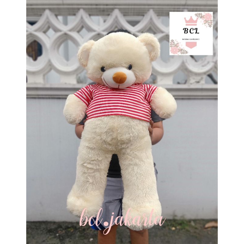 Jual BONEKA TEDDY BEAR T-SHIRT BESAR/ BERUANG BAJU BESAR | Shopee Indonesia