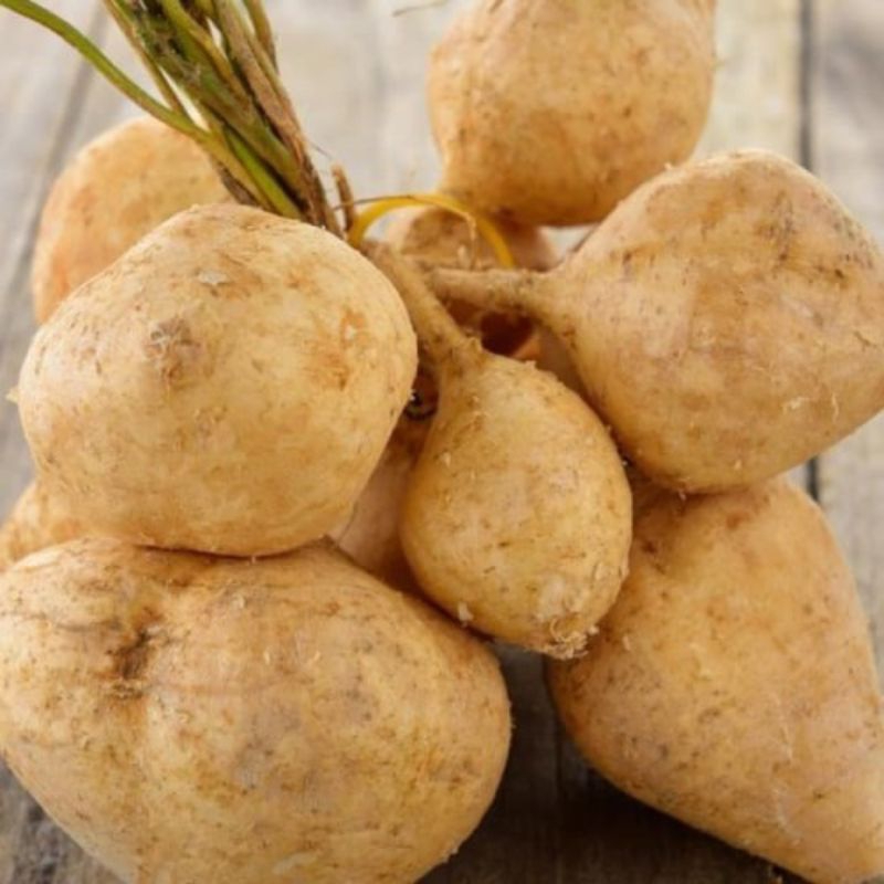 Jual Buah Bengkoang Fresh 1KG (REGULER & KARGO) | Shopee Indonesia
