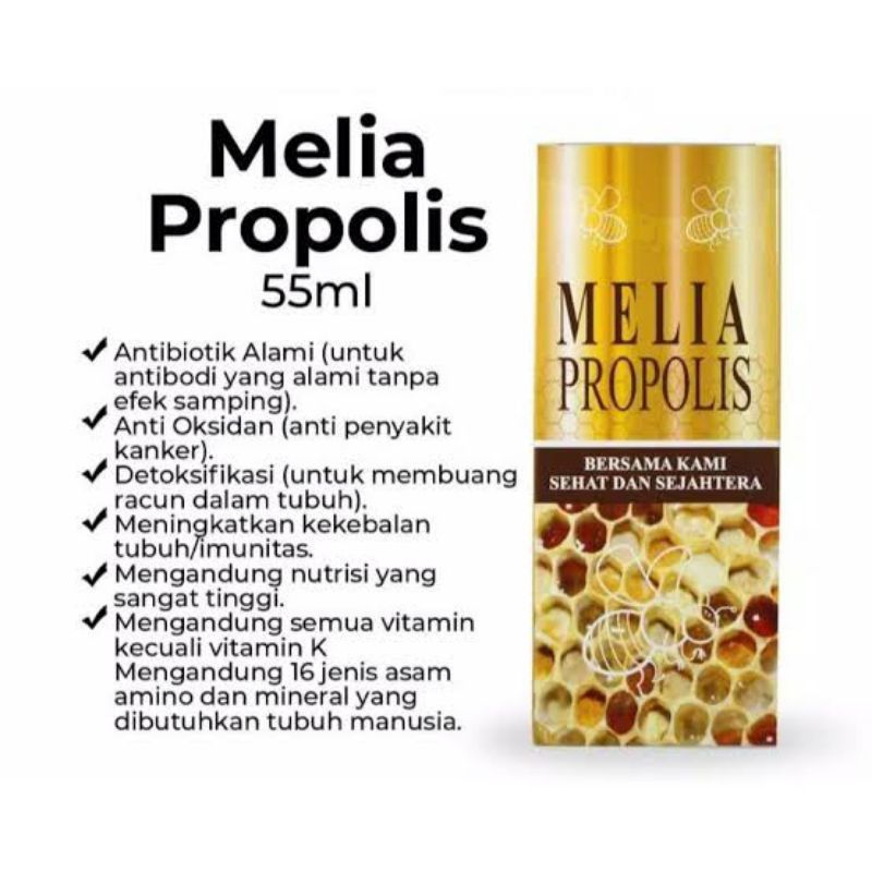 Jual Propolis Melia 55ml original PT MSS | Shopee Indonesia