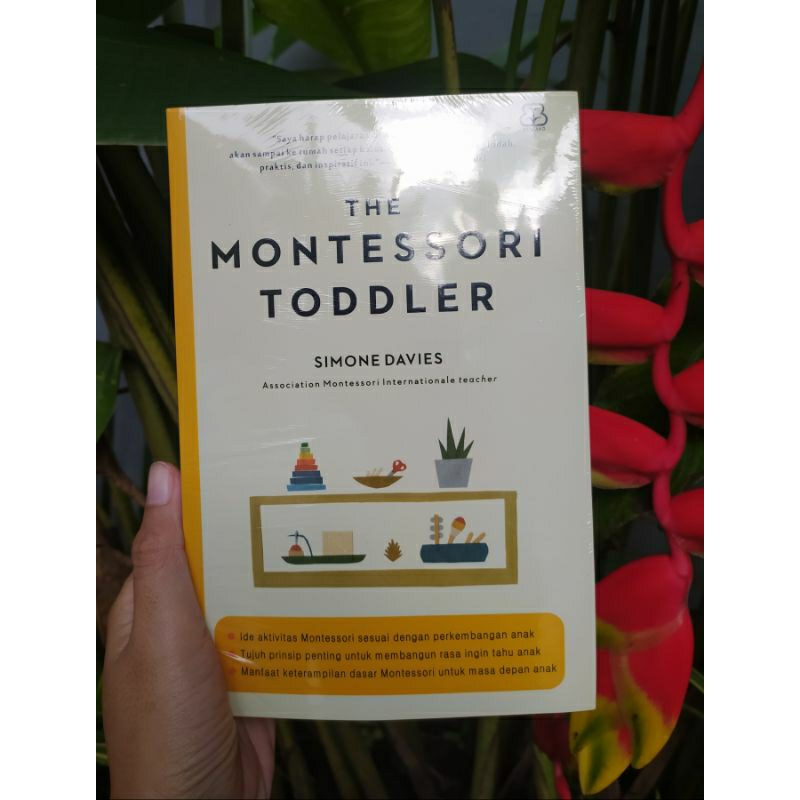 Jual Buku The Montessori Toddler - Simone Davies | Shopee Indonesia