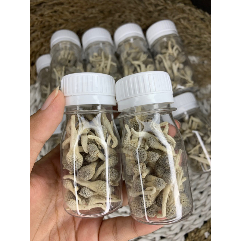 Jual JAMU MPOT PUTIH | JAMU MPOT MADURA READY ISI 80 BIJi | Shopee ...