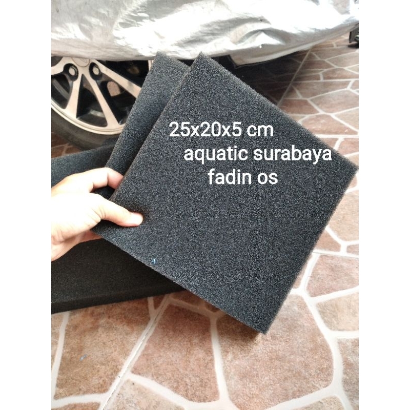 Jual Biofil Biofoam Bio Sponge Busa Filter Aquarium Kolam 25x20x5 cm ...