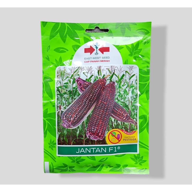 Jual Benih Jagung Jantan Ketan 200 Butir Original Shopee Indonesia