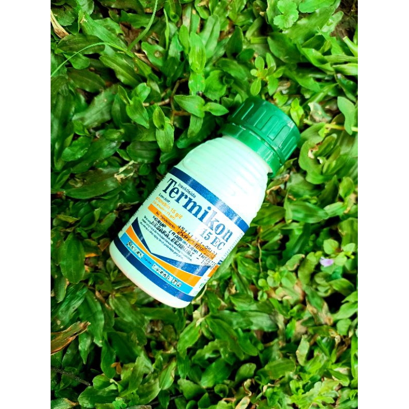 Jual obat semut termikon untuk hama semut dan bisa untuk rayap | Shopee ...