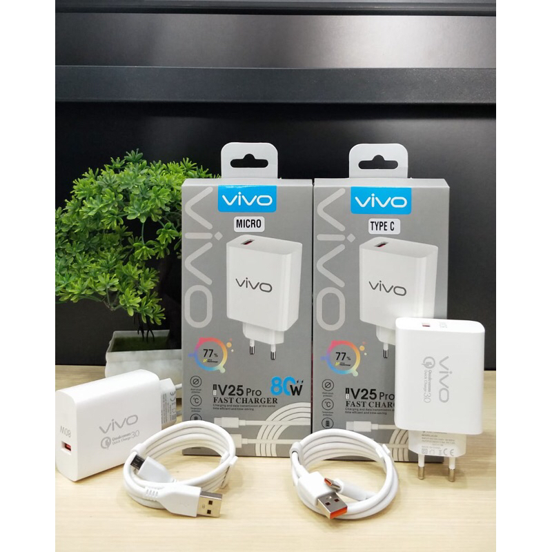 Jual Charger VIVO V25Pro 180W USB Kabel Type-C & Micro Fast Charging ...