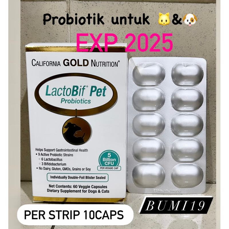 Jual LactoBif Pet Probiotics California Gold Nutrition 5 Billion ...