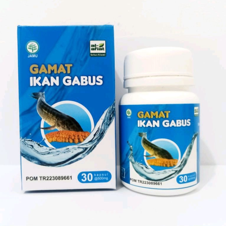 Jual GAMAT IKAN GABUS Al Afiat - Kapsul Teripang Emas Sari Kutuk ...