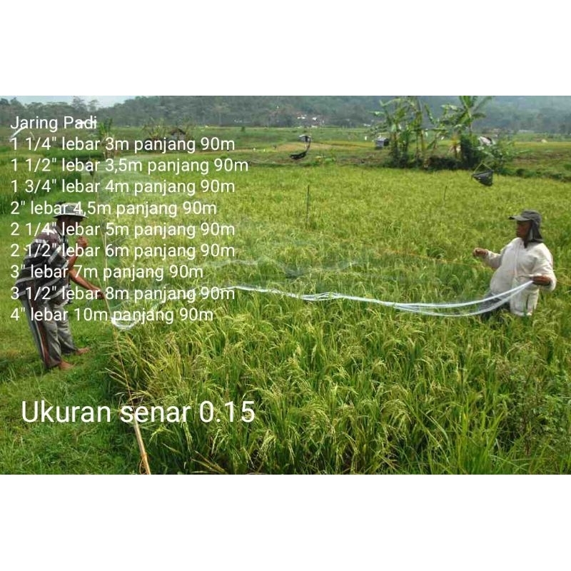 Jual Jaring Padi Jaring Sawah Jaring Burung Jaring Pipit SENAR 0.15 ...