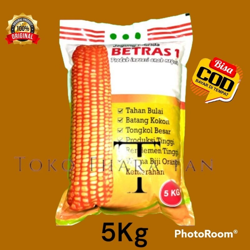 Jual Benih jagung hibrida Betras 1 kemasan 5kg | Shopee Indonesia
